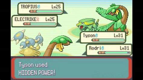Pokemon Emerald Randomizer Nuzlocke The Final Rival Battle Youtube