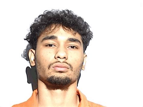 Harris Logan Rhys 04 03 2024 Lucas County Mugshots Zone