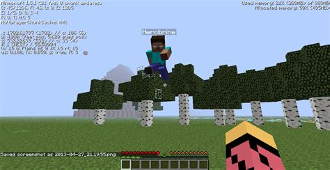 Do You Have Proof Of Herobrine