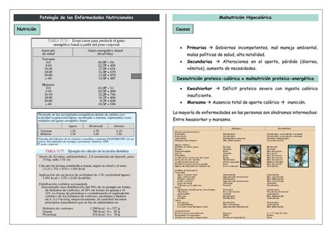 Patología De Las Enfermedades Nutricionales César Sandoval Udocz