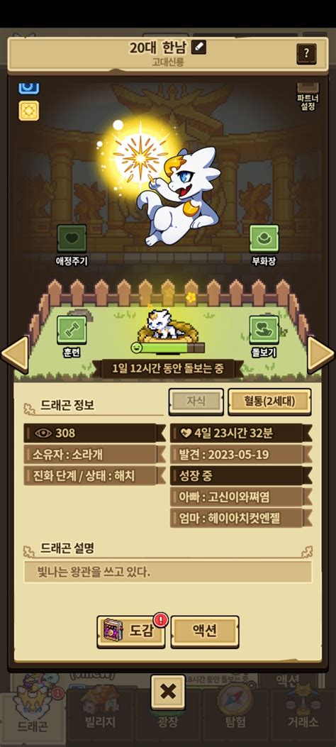 드래곤빌리지 컬렉션