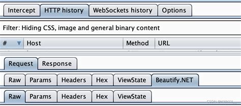 【burpsuite】插件开发学习之dotnet Beautifiernet Beautifier Csdn博客