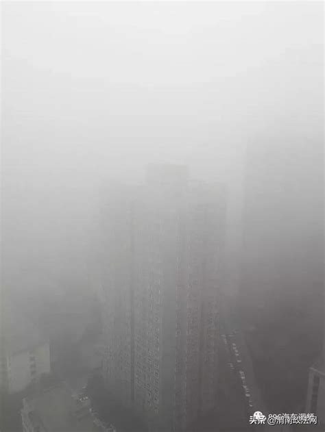 把你堵路上的，是霧還是霾？對人體有害嗎？應該注意些什麼？ 每日頭條