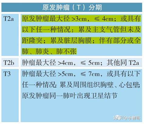 IB期肺癌术后到底该如何治疗中外专家指南快打起来了 知乎