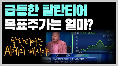 Ai계의 메시 팔란티어 목표주가는 Youtube