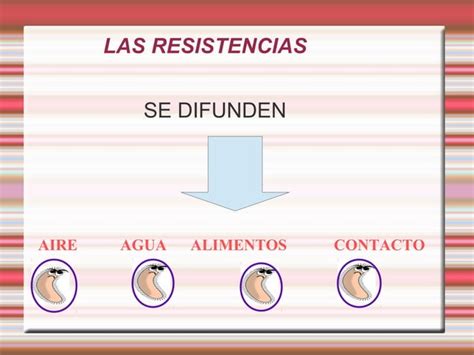 Uso Adecuado De Antibioticos 10 De Nov PPT