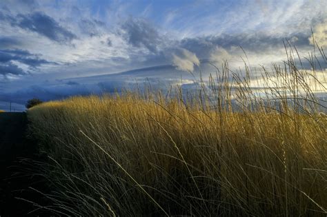 1581 Best Storm Clouds Images On Pholder CLOUDS Earth Porn And Nature Is Fucking Lit