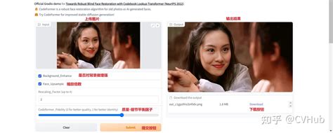 Github 48k Stars Codeformer 地表最强ai马赛克去除神器 附实战教程 知乎