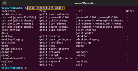 The Snap Command In Linux With 10 Examples LinuxSimply