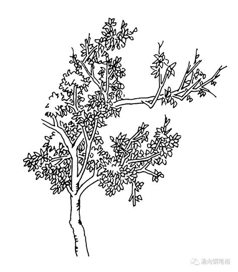 三棵树简笔画 人物简笔画 简笔画 大山谷图库
