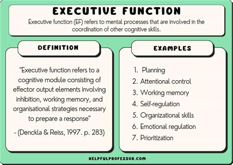 15 Executive Function Examples 2024