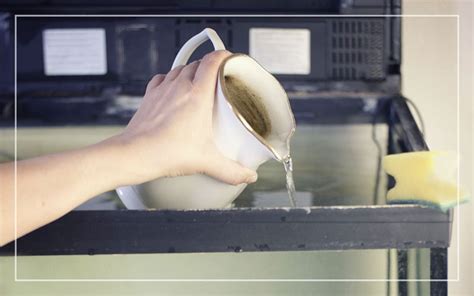 Can You Use Hot Tap Water For Fish Tank