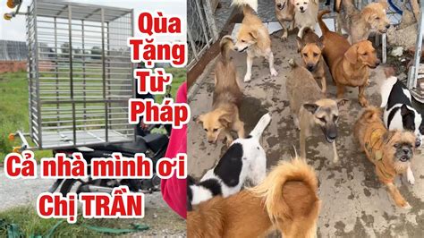 3 Bé Chó ăn Cứt Gà Nhận Quà Từ Pháp Của Chị TrẦn Trạm Mỹ Phương Nói