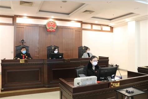 三方隔空庭审 防疫期间刑事庭审“不打烊”泰兴市人民法院