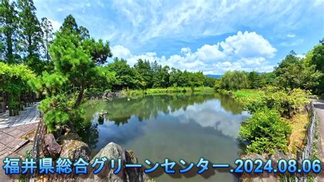 福井県総合グリーンセンターをウオーキング 2024 08 06 YouTube