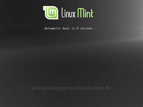 Guia De Instalação Do Linux Mint 18