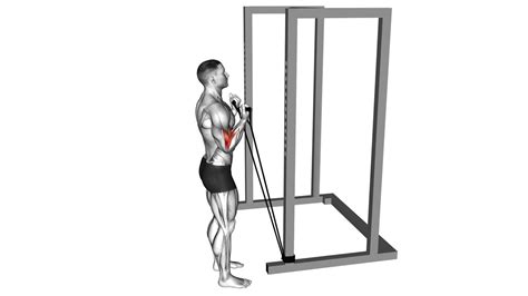 Ultimate Biceps Curl Guide For Men Video And Tips