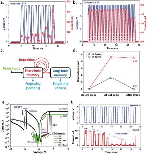 mxene‐based device artificial synapse memorization characteristics of
