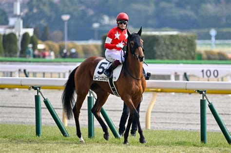 【my厩舎】もう一息欲しかった5月の成績 アラカン優優の一口馬主ライフ