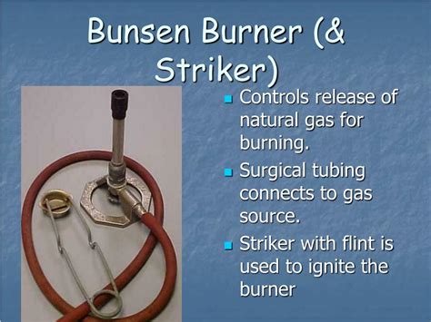 Lab Striker Meaning At Bruce Lohr Blog