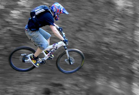 Shampoo Pampoo Dolekopcom