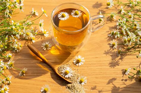 Chamomile And Peppermint Tea Benefits And Recipe Chinese Teas 101