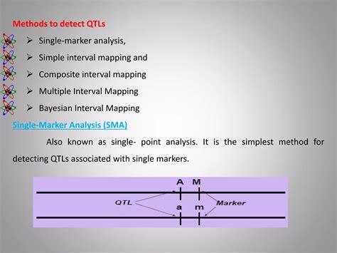 Qtl Mapping And Analysis Pptx