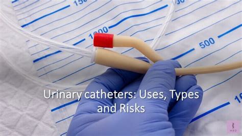Urinary Catheter Uses Types And Risks My Biology Dictionary