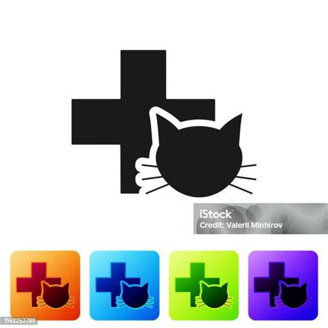 Icône De Symbole De Clinique Vétérinaire Noire Disolement Sur Le Fond