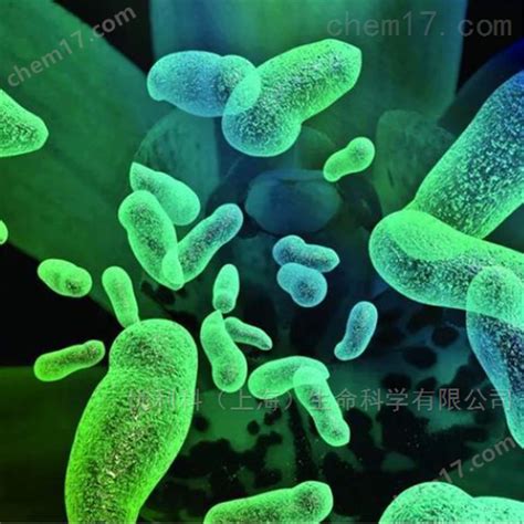 嗜黏蛋白阿克曼菌冻干粉 优利科（上海）生命科学有限公司