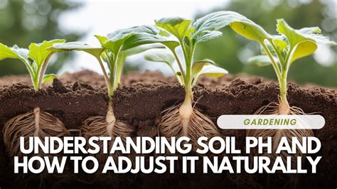 Understanding Soil Ph And How To Adjust It Naturally Youtube