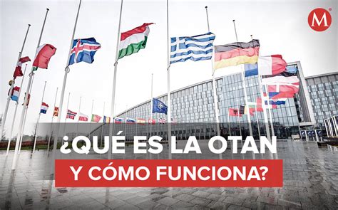 Otan Qué Es Y Cuál Es Su Función Grupo Milenio