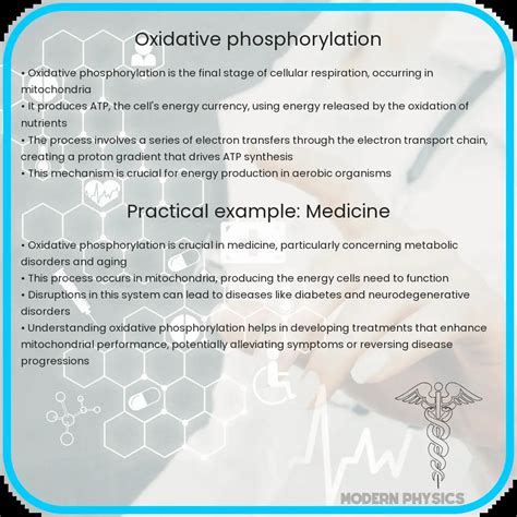 Oxidative Phosphorylation Efficient Vital And Complex