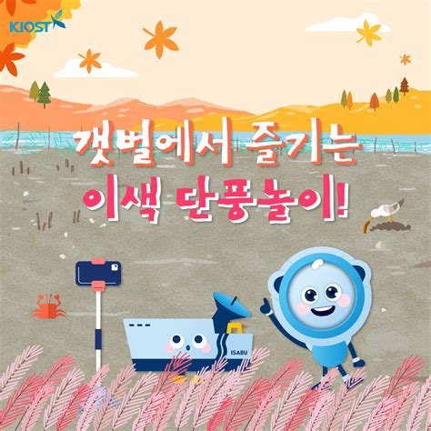 한국해양과학기술원 🌊갯벌에서 즐기는 이색 단풍놀이 🍁 📸바다에서도 단풍을 구경할 수 있다는