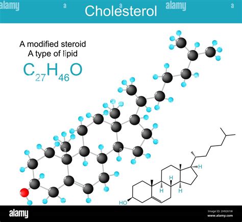 Cholesterol Molecular Chemical Structural Formula And Model Of A Sterol