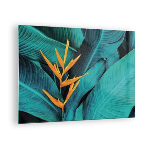 Obraz Na Szkle Kwiat Edenu 70x50 Cm Sklep Arttor Pl