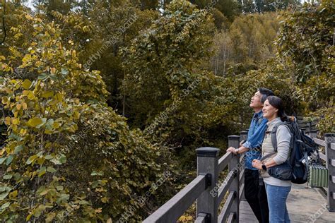 중년커플 커플 부부 인간관계 가족 중년 성인 하이킹 아웃도어 건강관리 백패커 여행하기 함께함 컨셉 이미지 Jv12625471 게티이미지뱅크