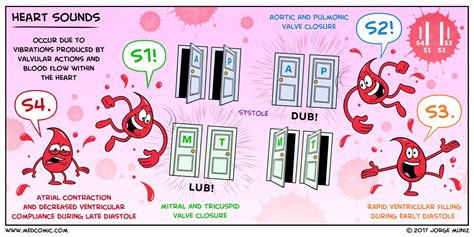 Heart Sounds S1 S2 S3 S4 Fuente Best Nursing Schools
