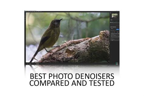 Best Noise Reduction Software 2024 8 Denoisers Ranked