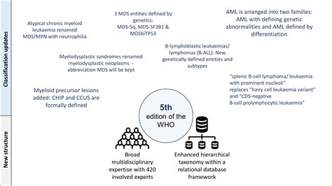 The New Who Classification 2022 Mll