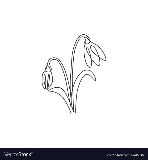 Single Continuous Line Drawing Beauty Fresh Vector Image