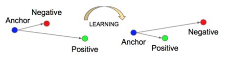 GitHub GiacomoLeoneMaria A Brief Introduction To Siamese Network A Gentle Introduction To