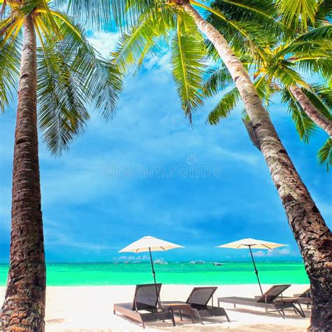 Paisagem Tropical Da Praia Com Palmeiras Ilha De Boracay Filipinas