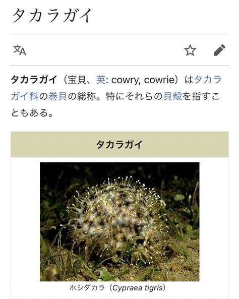 96dodos on twitter wiki e3 82 bf e3 82 ab