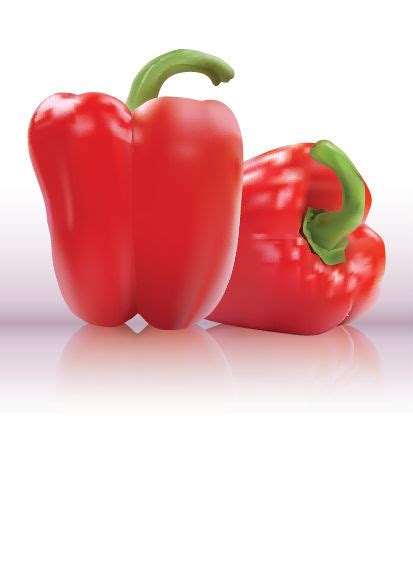 Pepper Gradient Mesh Practice By Xeelyak On Deviantart