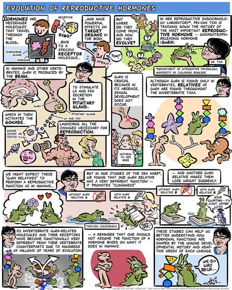 Evolution Of Reproductive Hormones Leif Saul Life Science Cartoons