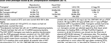 Table 4 From Regulation Of C Elegans Daf 16 And Its Human Ortholog