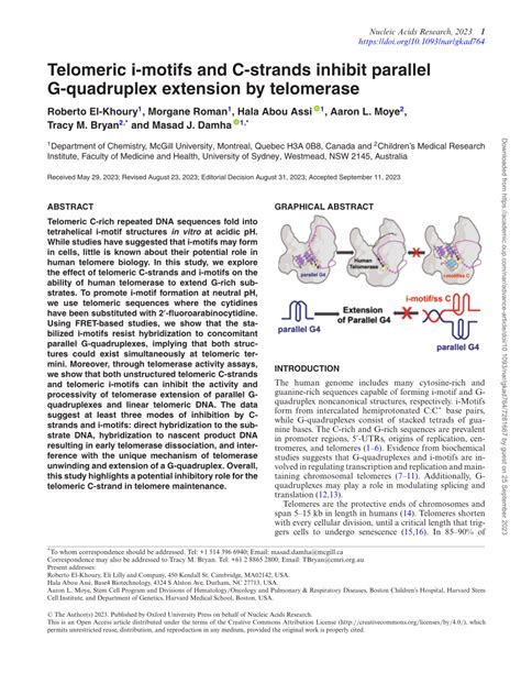 Pdf Telomeric I Motifs And C Strands Inhibit Parallel G Quadruplex