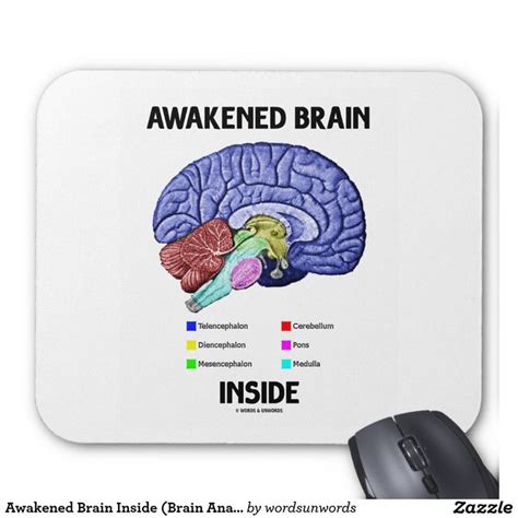 23 Best Isotonic Hypotonic Hypertonic Images On Pinterest Nursing