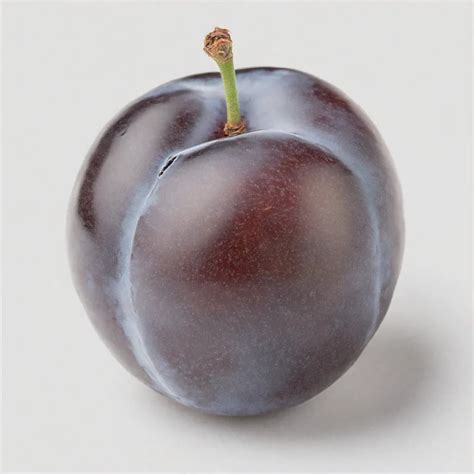 Davidson Plum Nutrition Facts Australian Antioxidant Superfruit